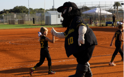 Miss Manatee Softball > Home